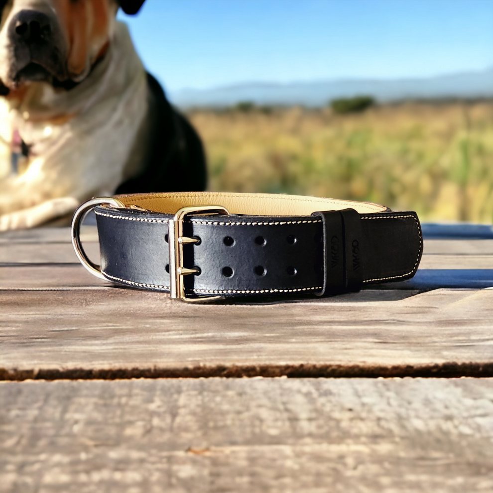 Lined 2 INCH wide collars – WK&D